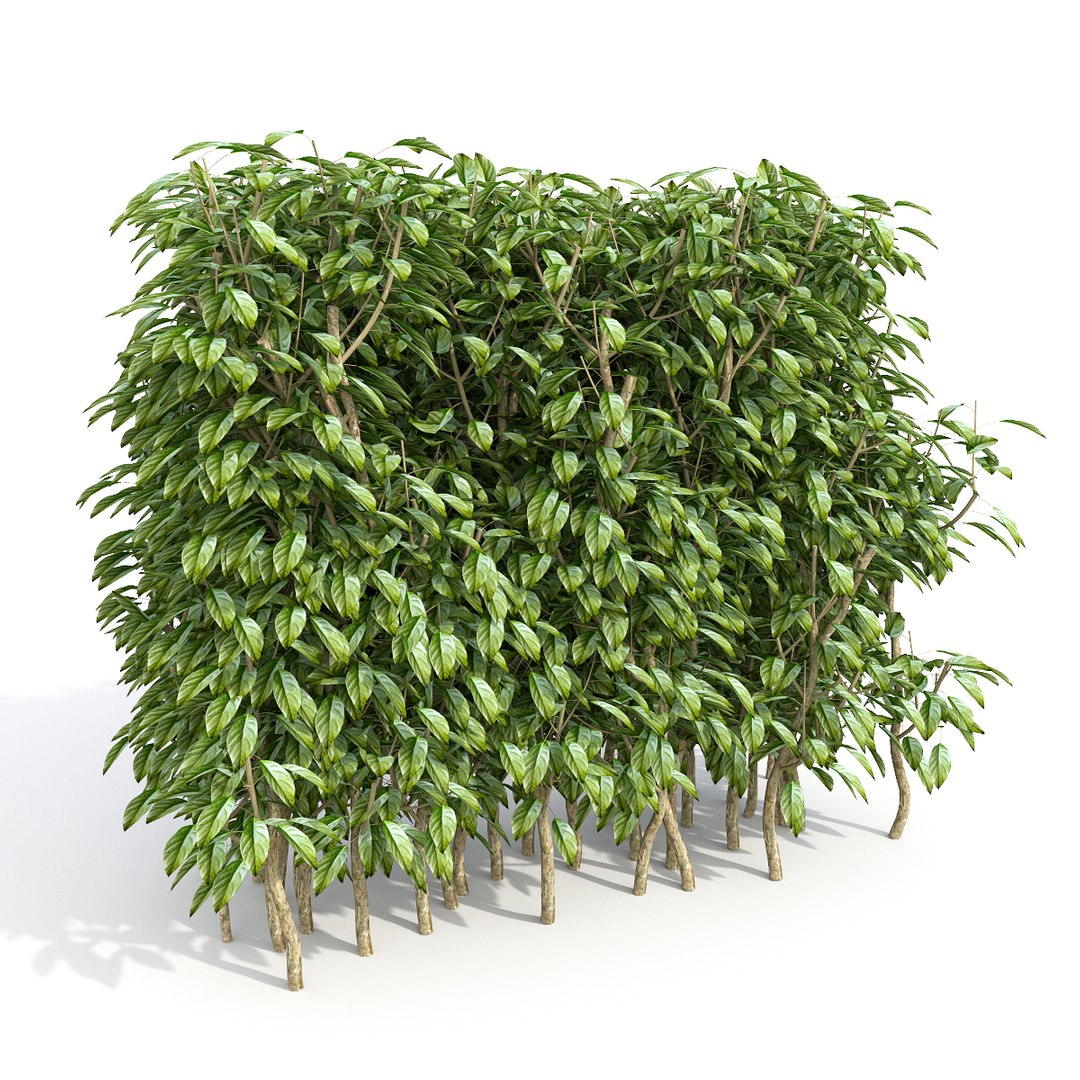 3ds Max Set Bushes