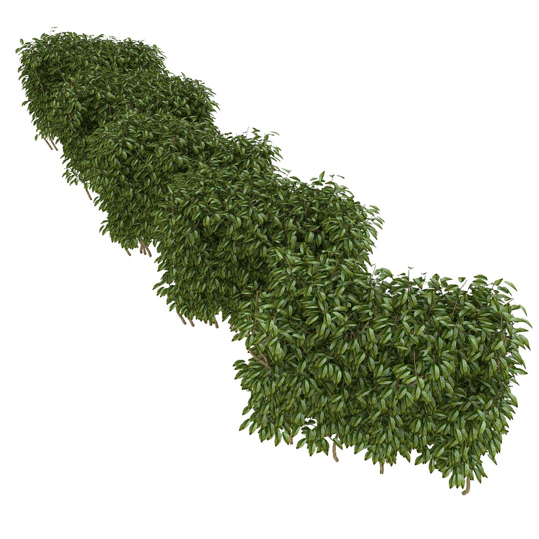 3ds Max Set Bushes
