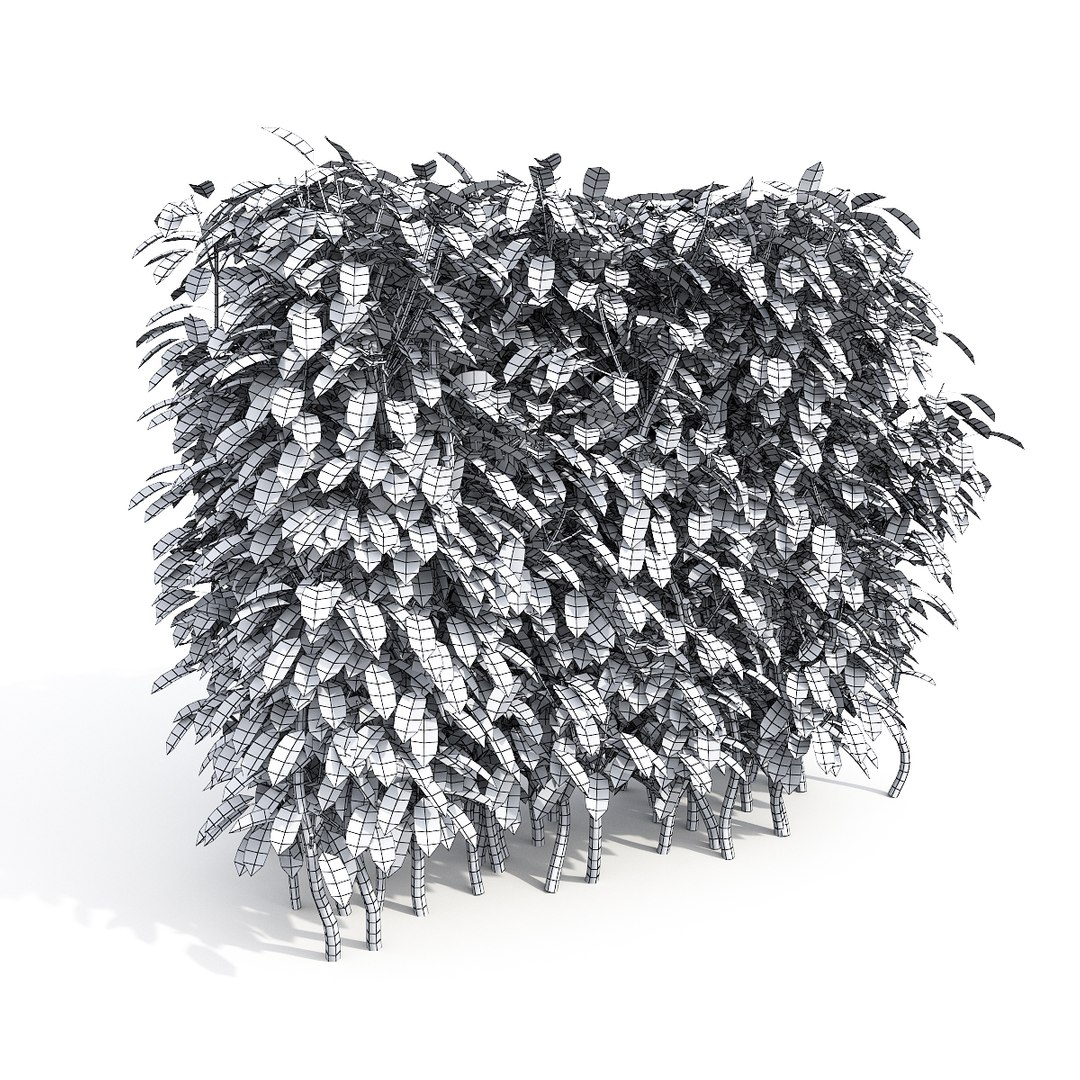 3ds Max Set Bushes