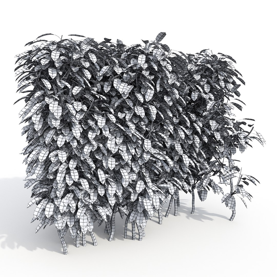 3ds Max Set Bushes
