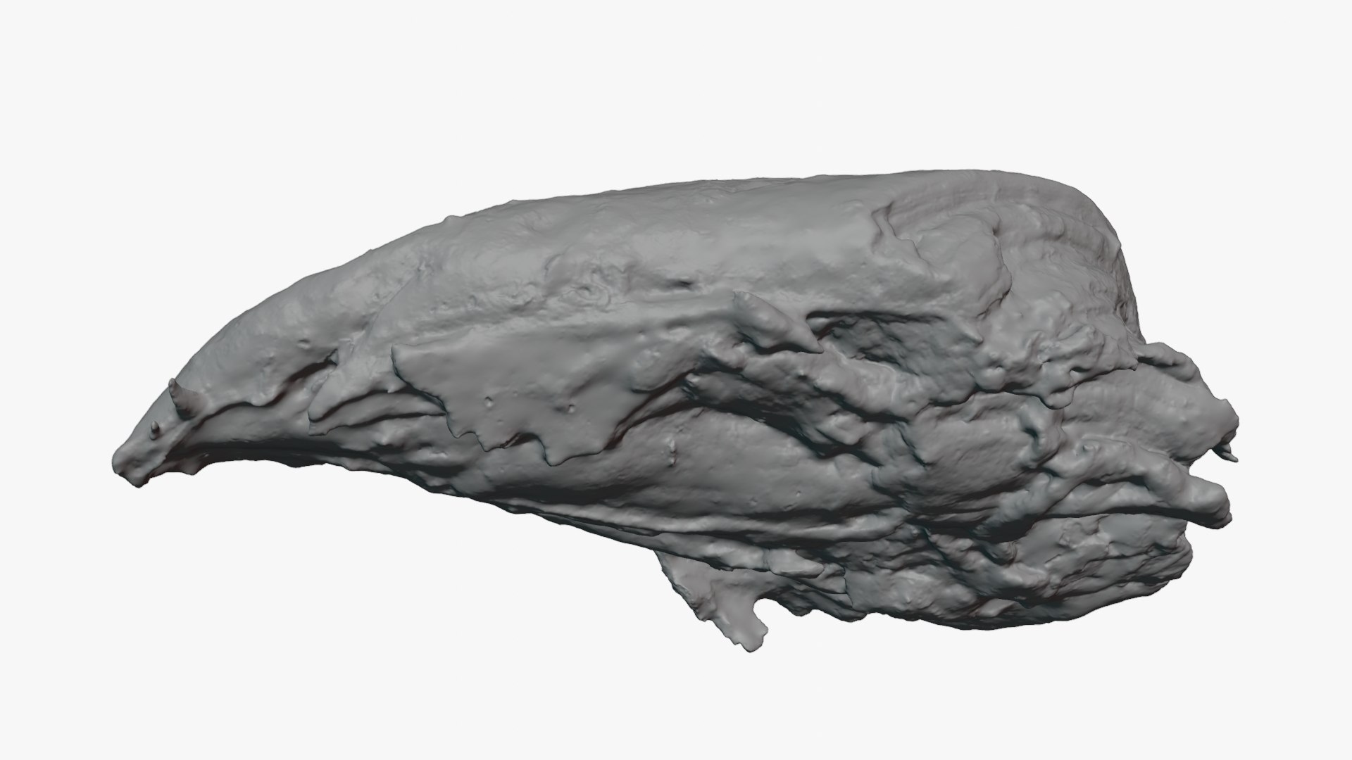 3D Roasted Chicken For 3D Print Collection Model - TurboSquid 2416717