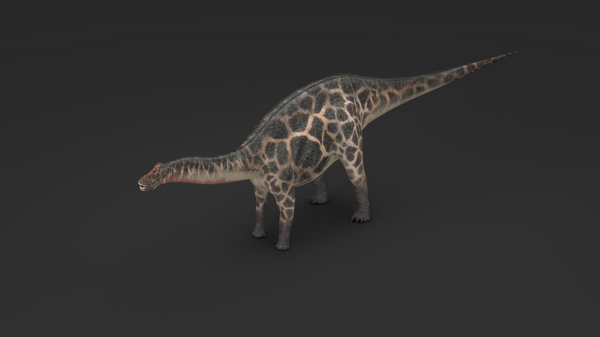 3D Model Dicraeosaurus - TurboSquid 1844292