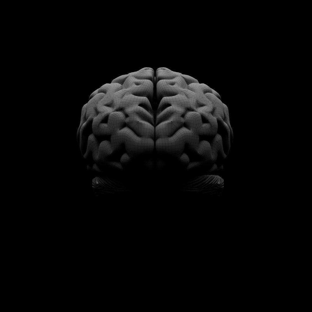 Brain 3D Model - TurboSquid 2204982