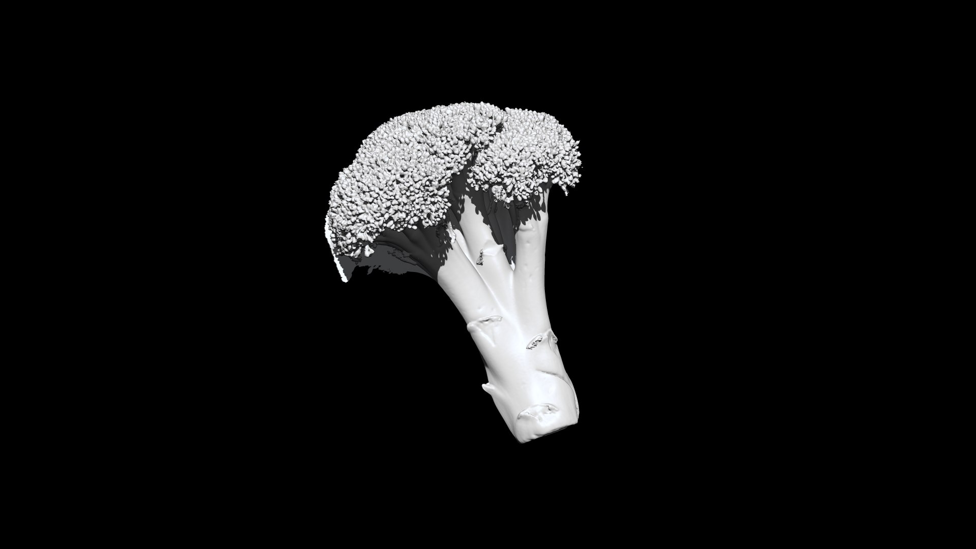 3D Broccoli Cut 3D CT Scan Model 1 Model - TurboSquid 1886407