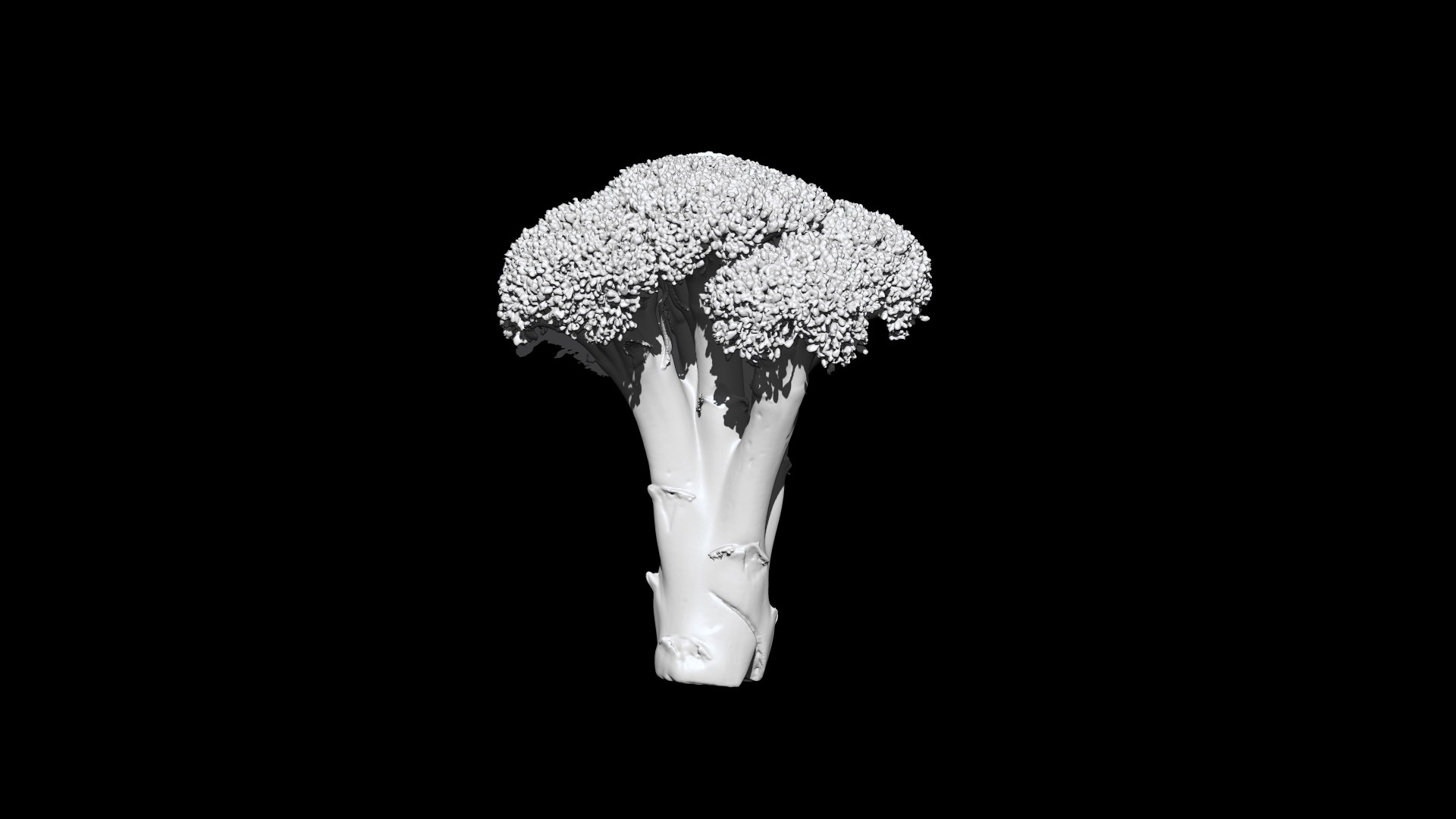 3D Broccoli Cut 3D CT Scan Model 1 Model - TurboSquid 1886407
