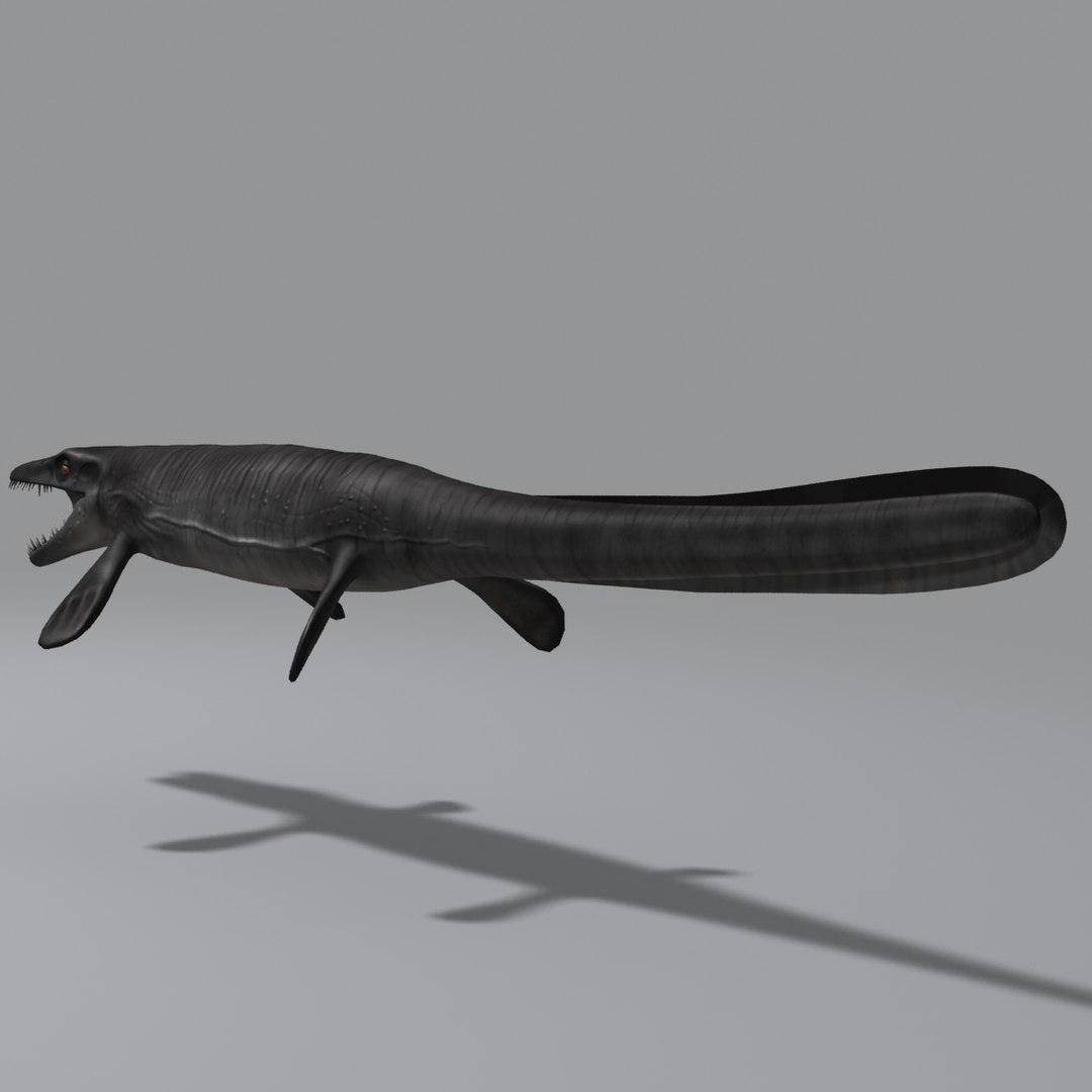 3d Model Marine Dinosaur Tylosaurus