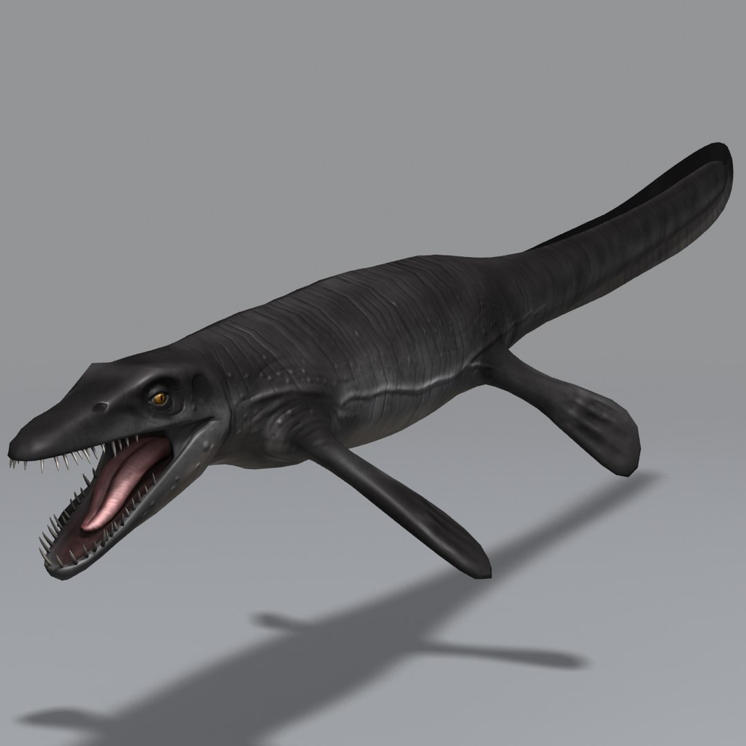 3d Model Marine Dinosaur Tylosaurus