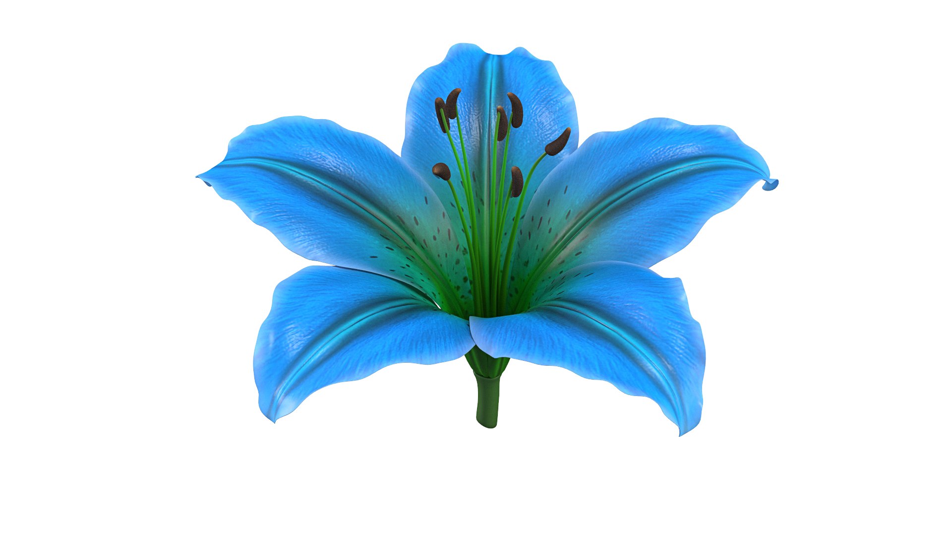 Realistic Lily 3D Model - High-Quality 4K PBR Asset 3D Model ...