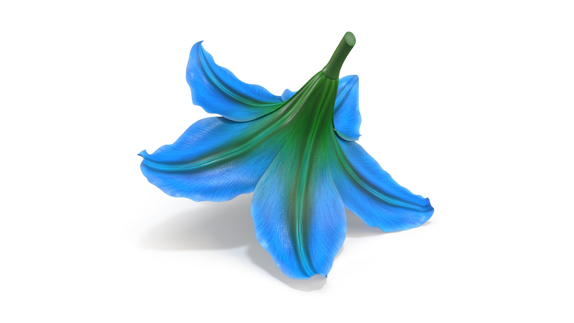 Realistic Lily 3D Model - High-Quality 4K PBR Asset 3D Model ...
