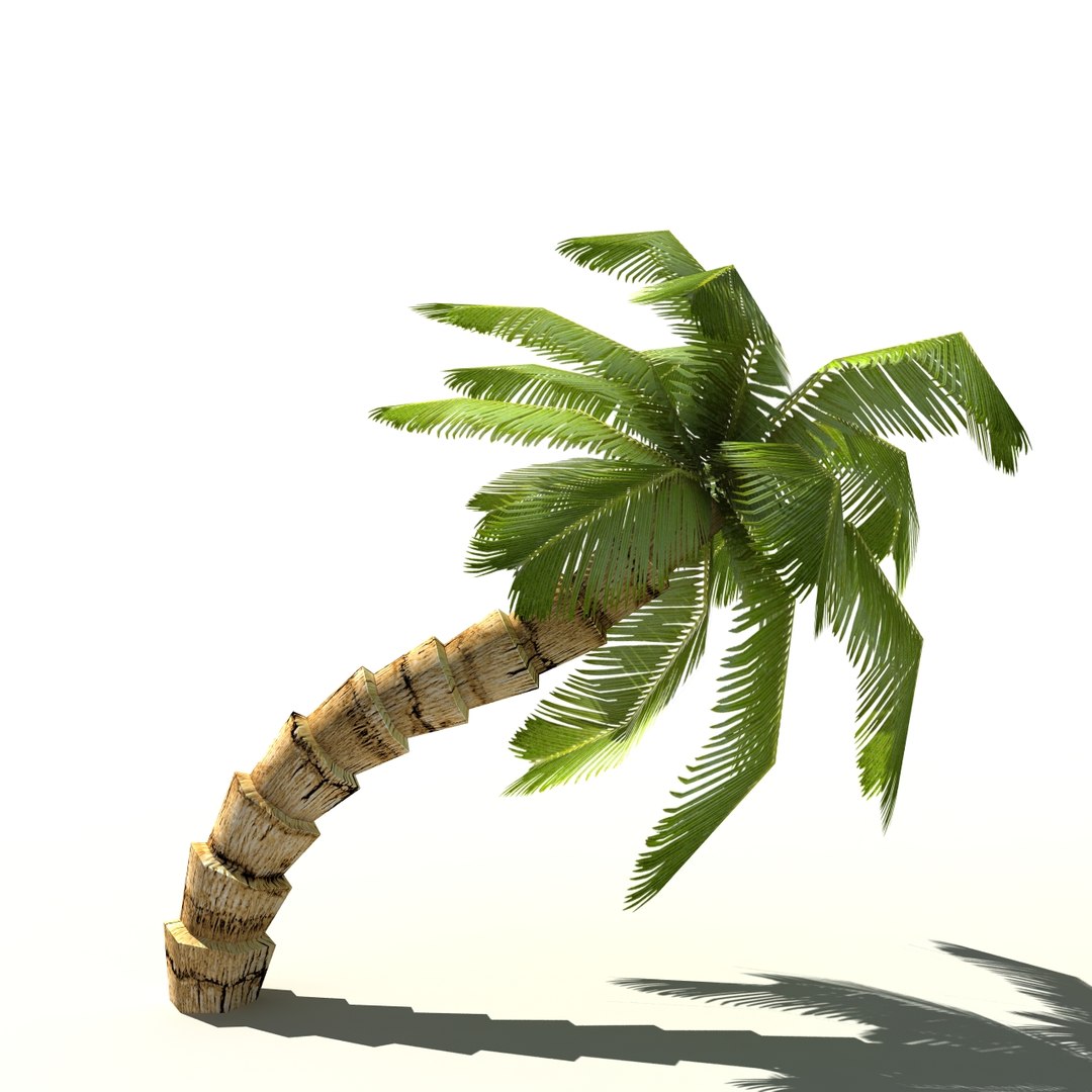 cartoon palm trees 3d model