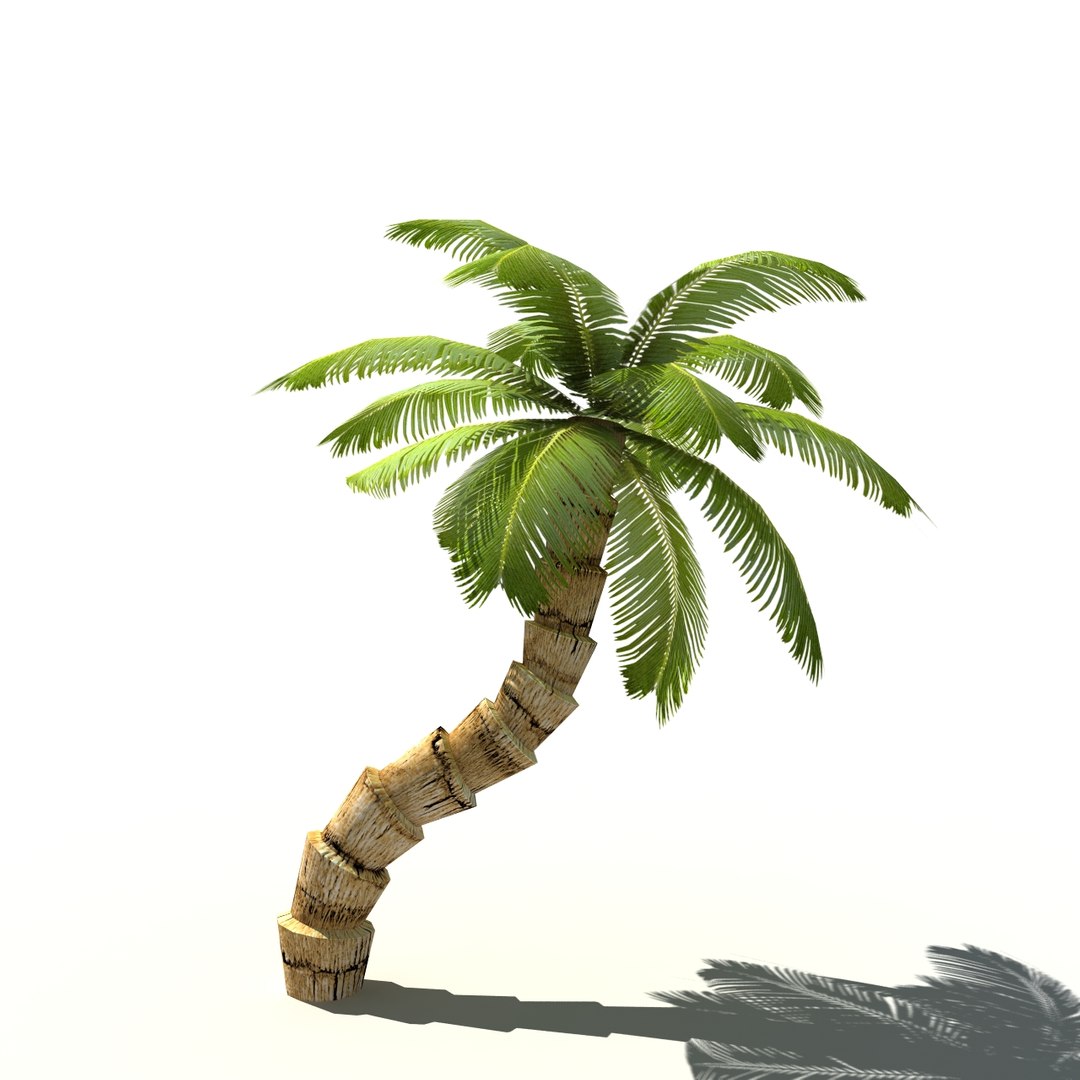 cartoon palm trees 3d model