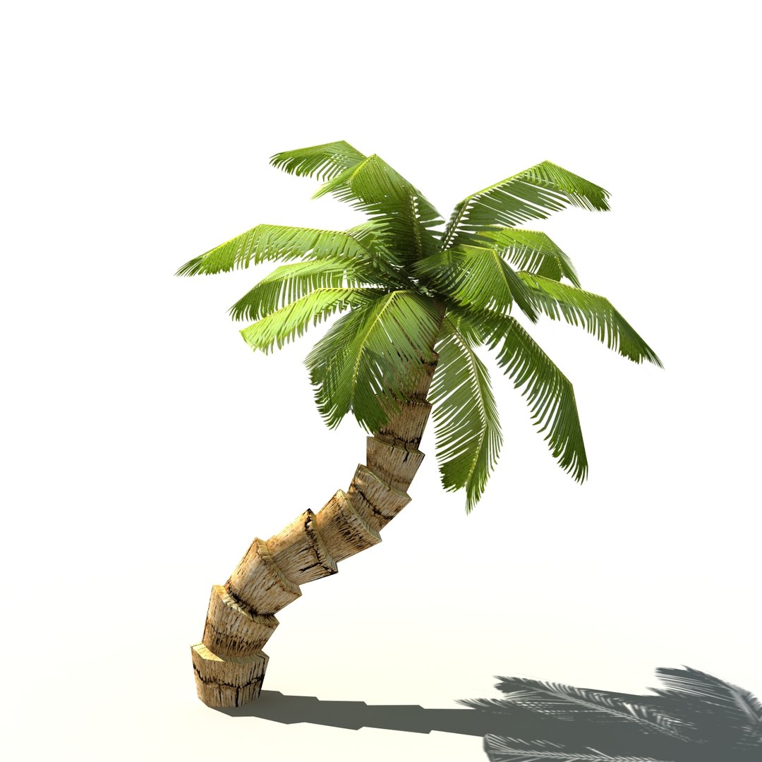 cartoon palm trees 3d model