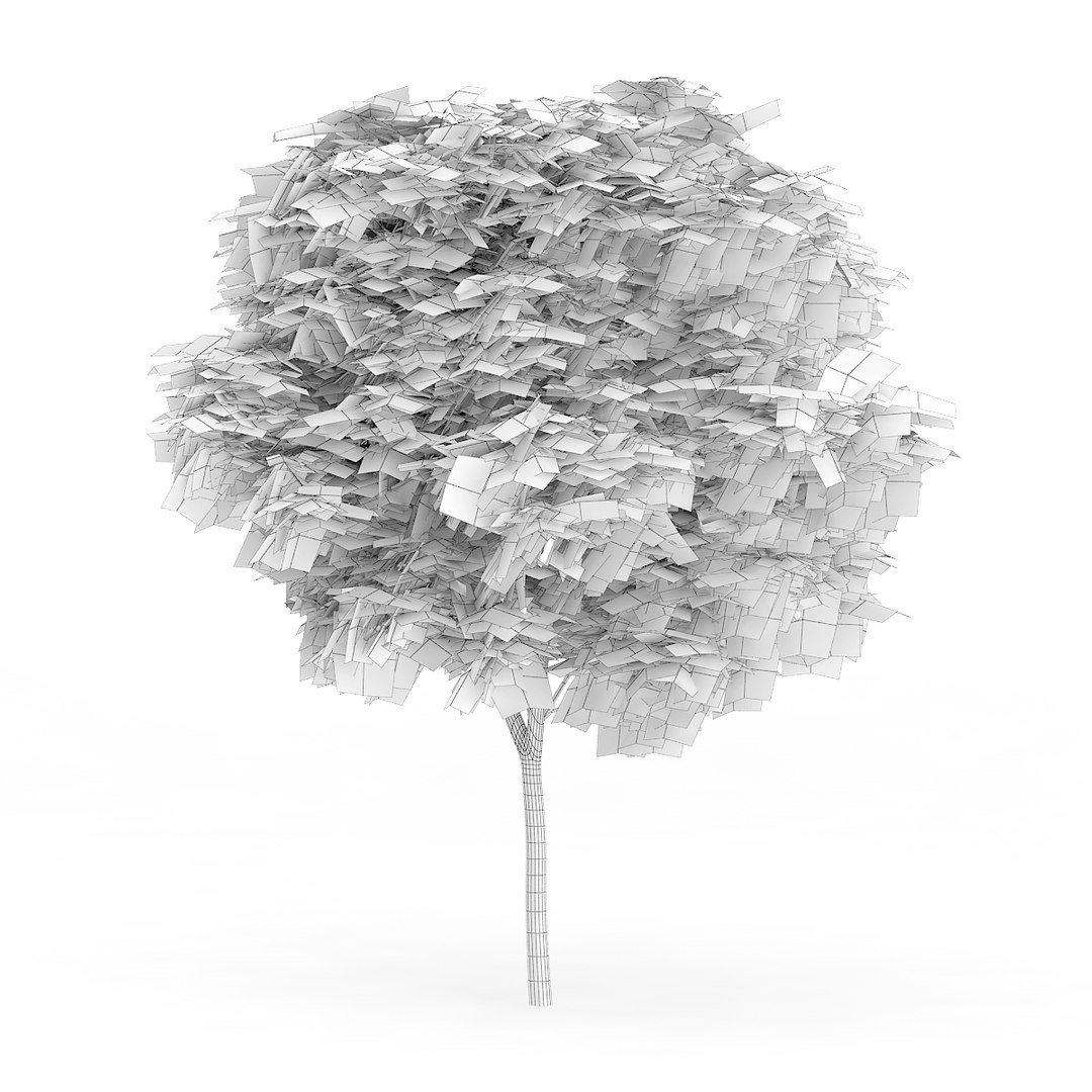 3d Catalpa Scop 6 4m