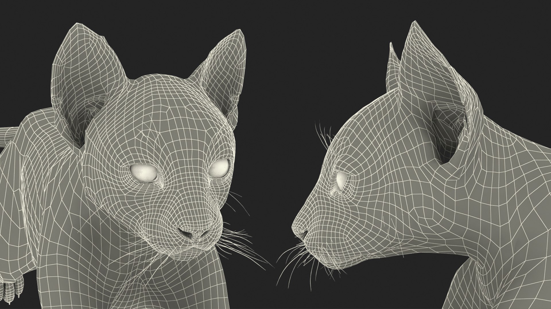 Lynx Cub In Jumping Pose 3D Model - TurboSquid 2359086