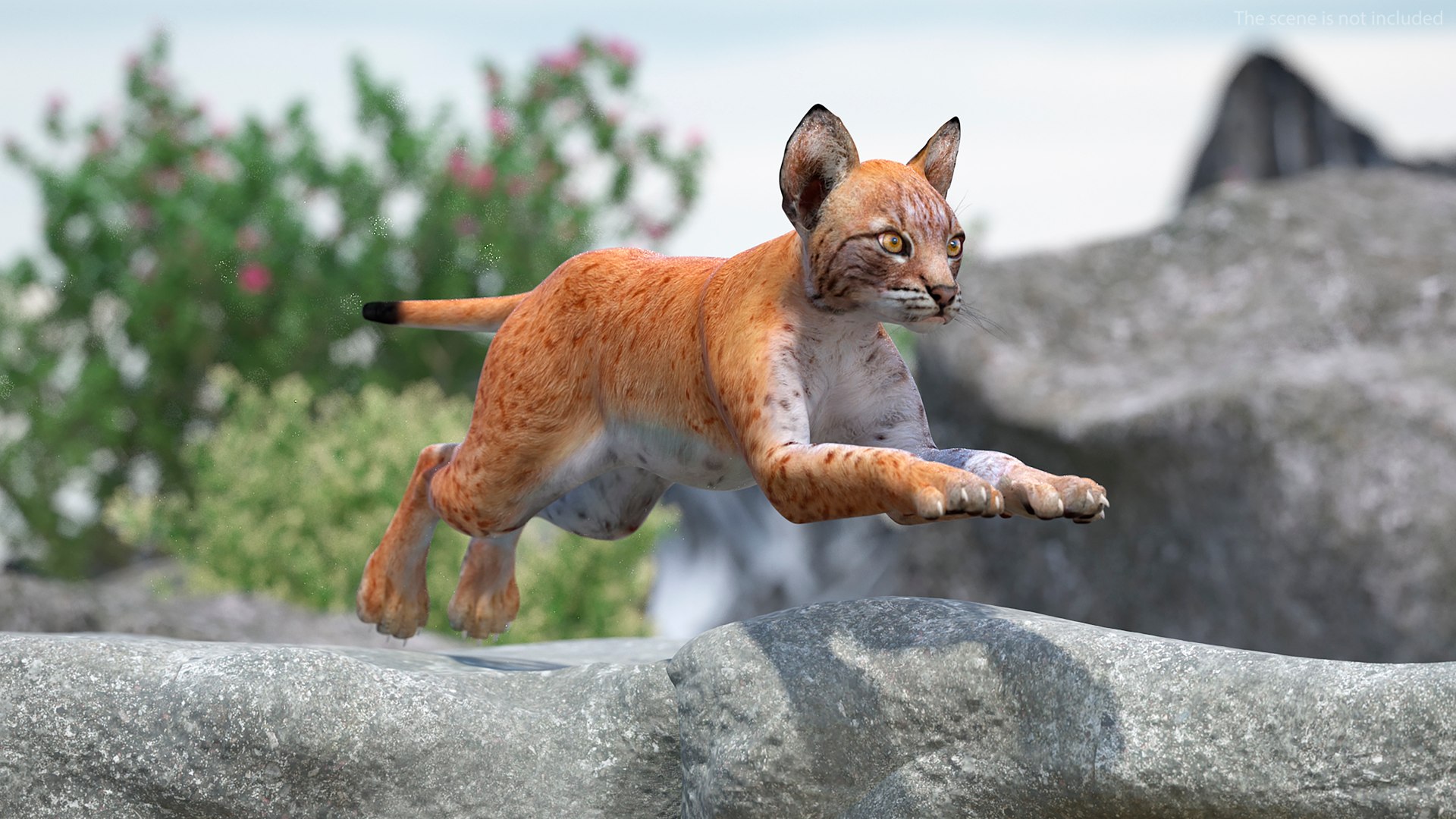 Lynx Cub In Jumping Pose 3D Model - TurboSquid 2359086