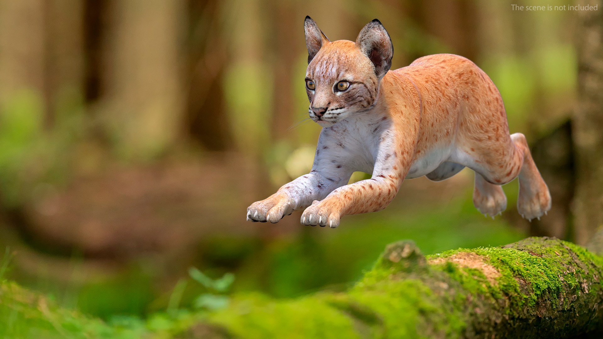 Lynx Cub In Jumping Pose 3D Model - TurboSquid 2359086