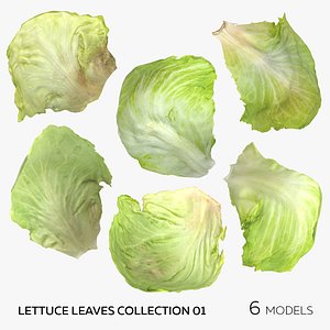 Lettuce Maya Models for Download | TurboSquid
