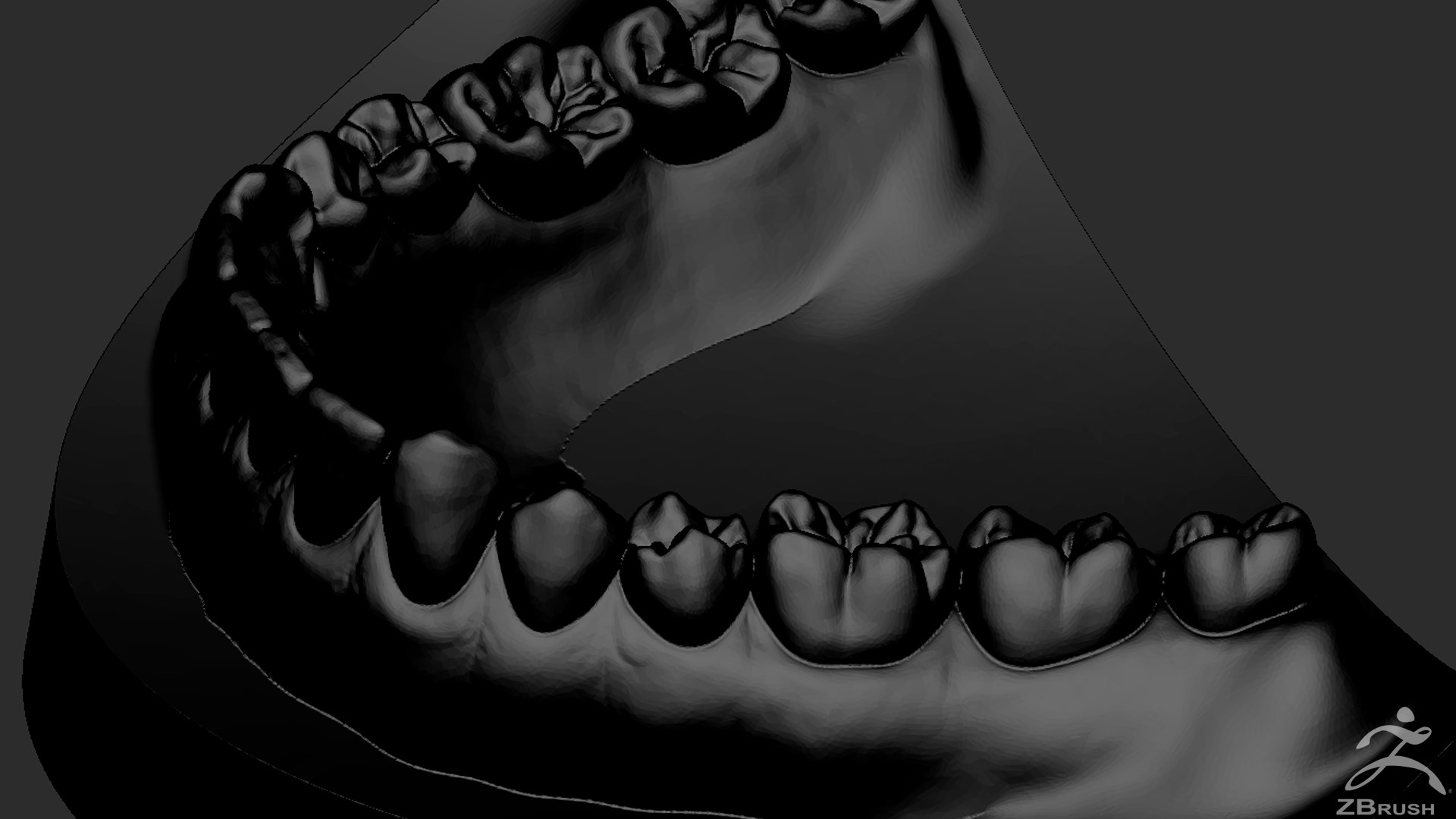 Maxillary and Mandibular dental 3D print model 3D - TurboSquid 1722311
