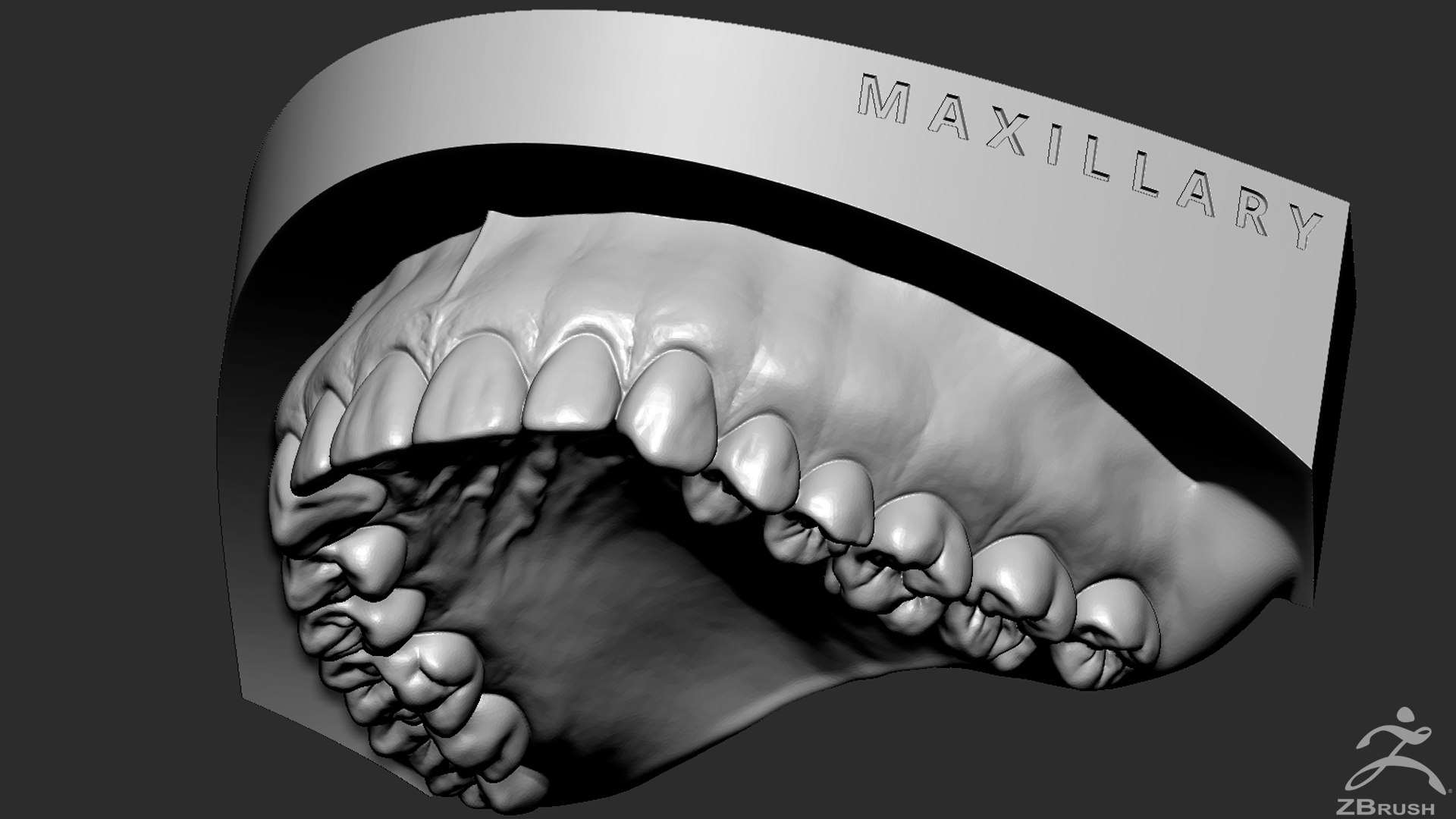 Maxillary and Mandibular dental 3D print model 3D - TurboSquid 1722311