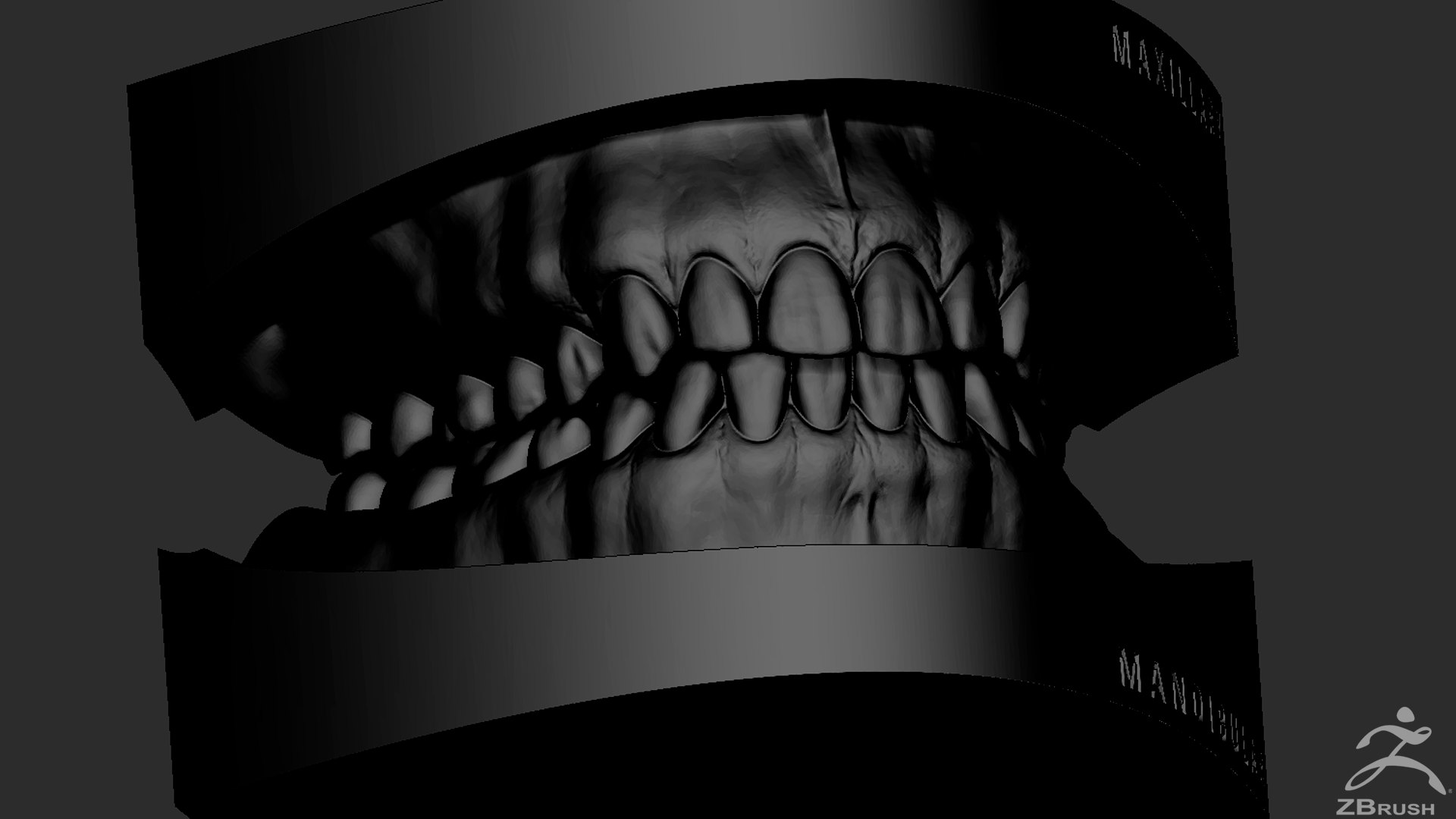 Maxillary and Mandibular dental 3D print model 3D - TurboSquid 1722311