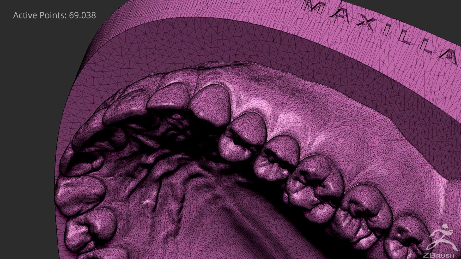 Maxillary and Mandibular dental 3D print model 3D - TurboSquid 1722311