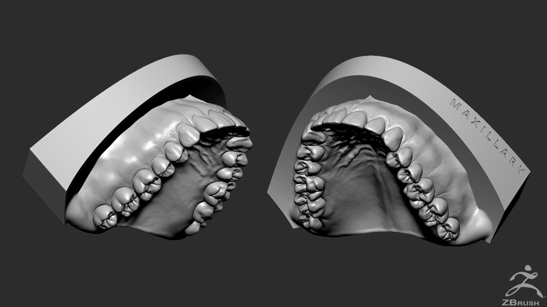 Maxillary and Mandibular dental 3D print model 3D - TurboSquid 1722311