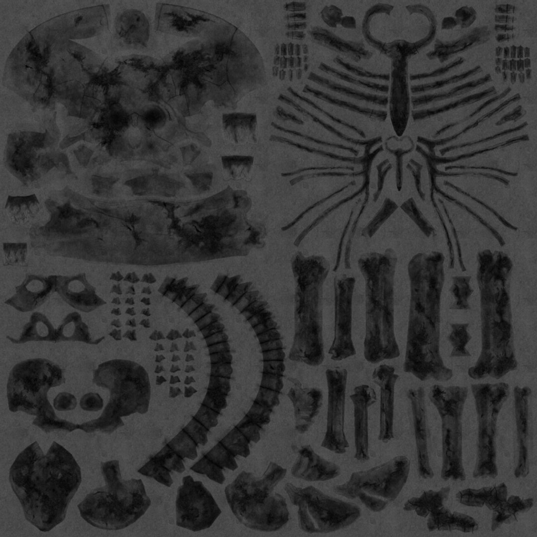 Human Skeleton 3d Model