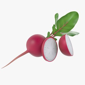 3D Radish Models - Browse & Download Formats - TurboSquid