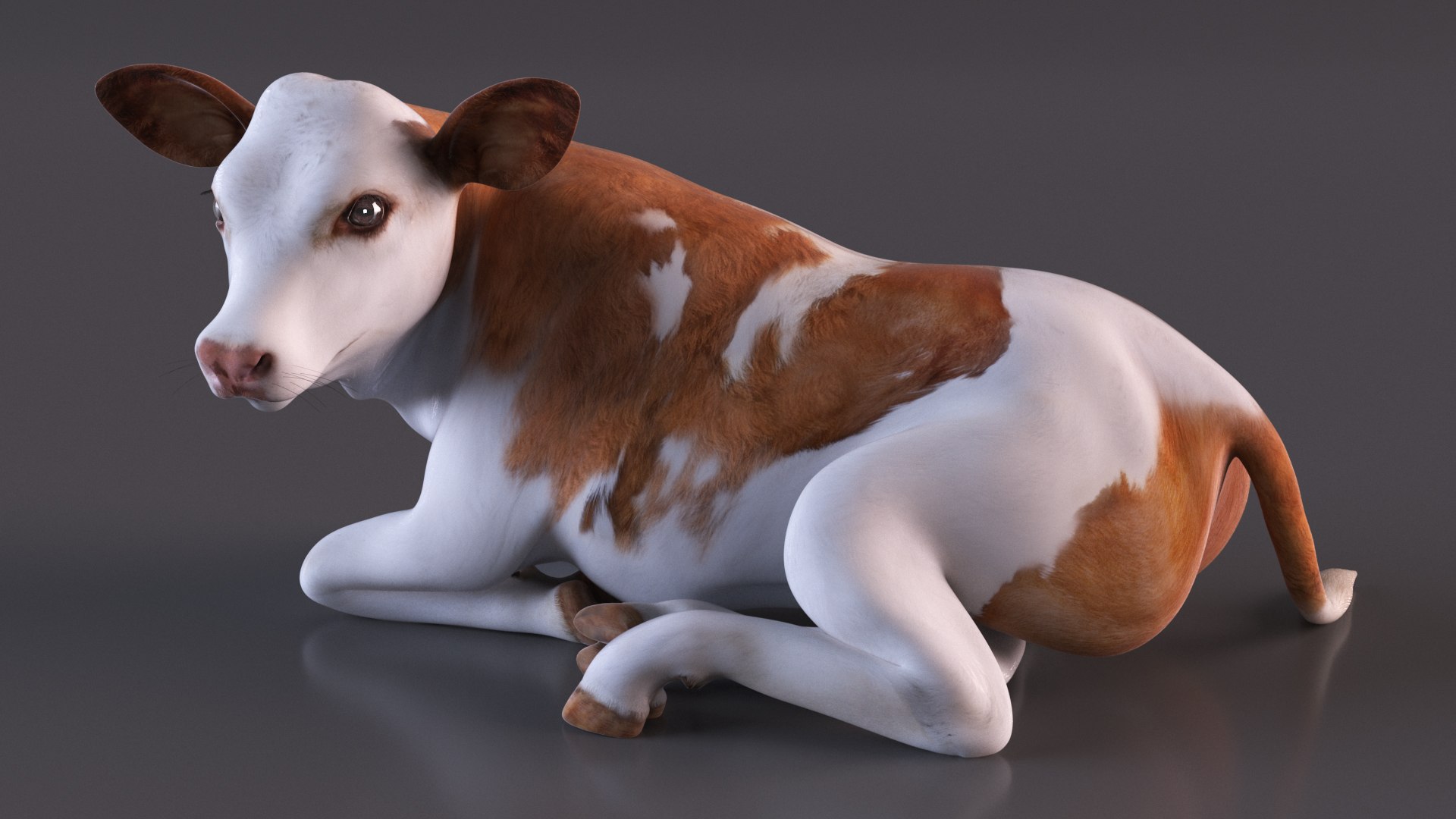 3D Cow Calf In Lying Pose Model - TurboSquid 2258829