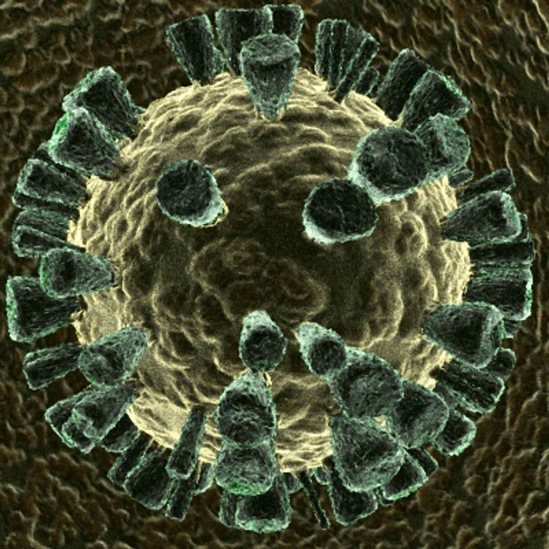 Max Hiv Virus