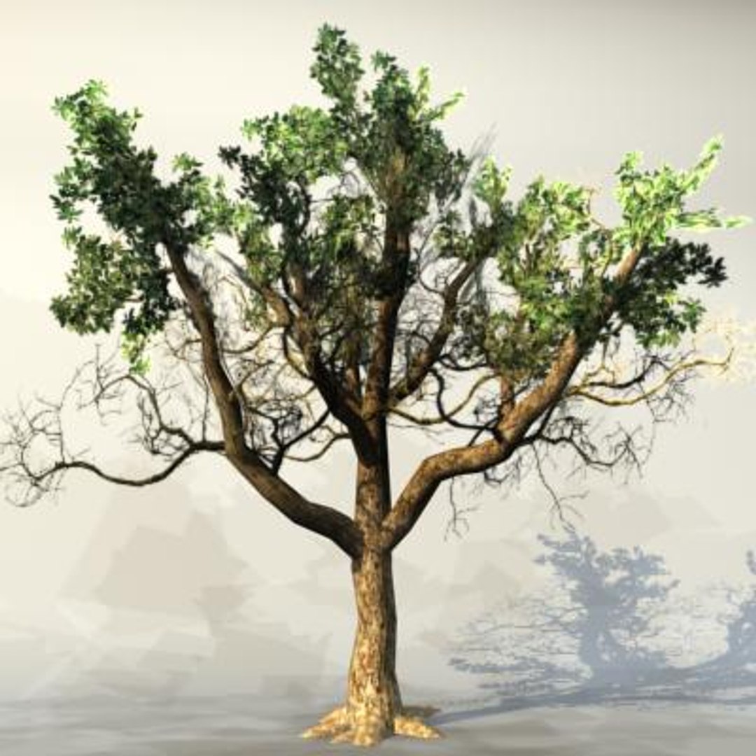 3d pc tree model