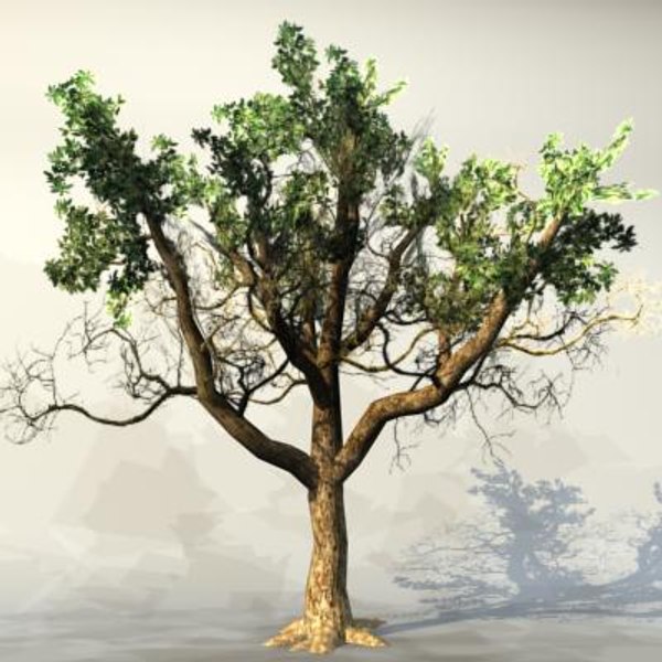 3d pc tree model