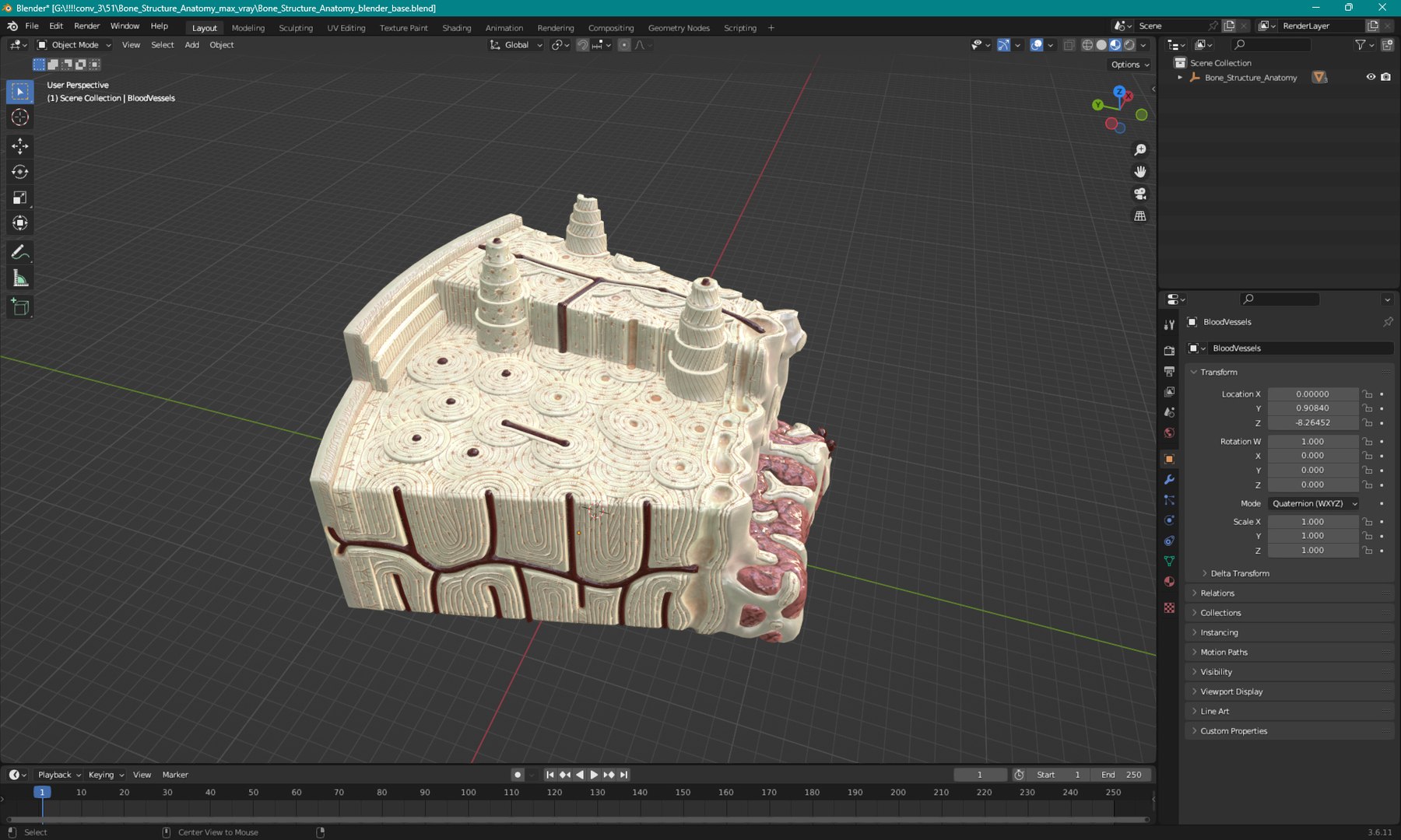 Bone Structure Anatomy Model - TurboSquid 2367864