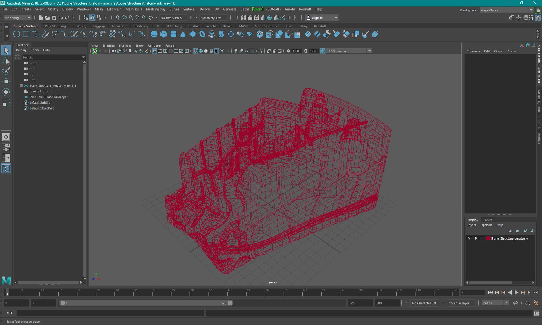 Bone Structure Anatomy Model - TurboSquid 2367864