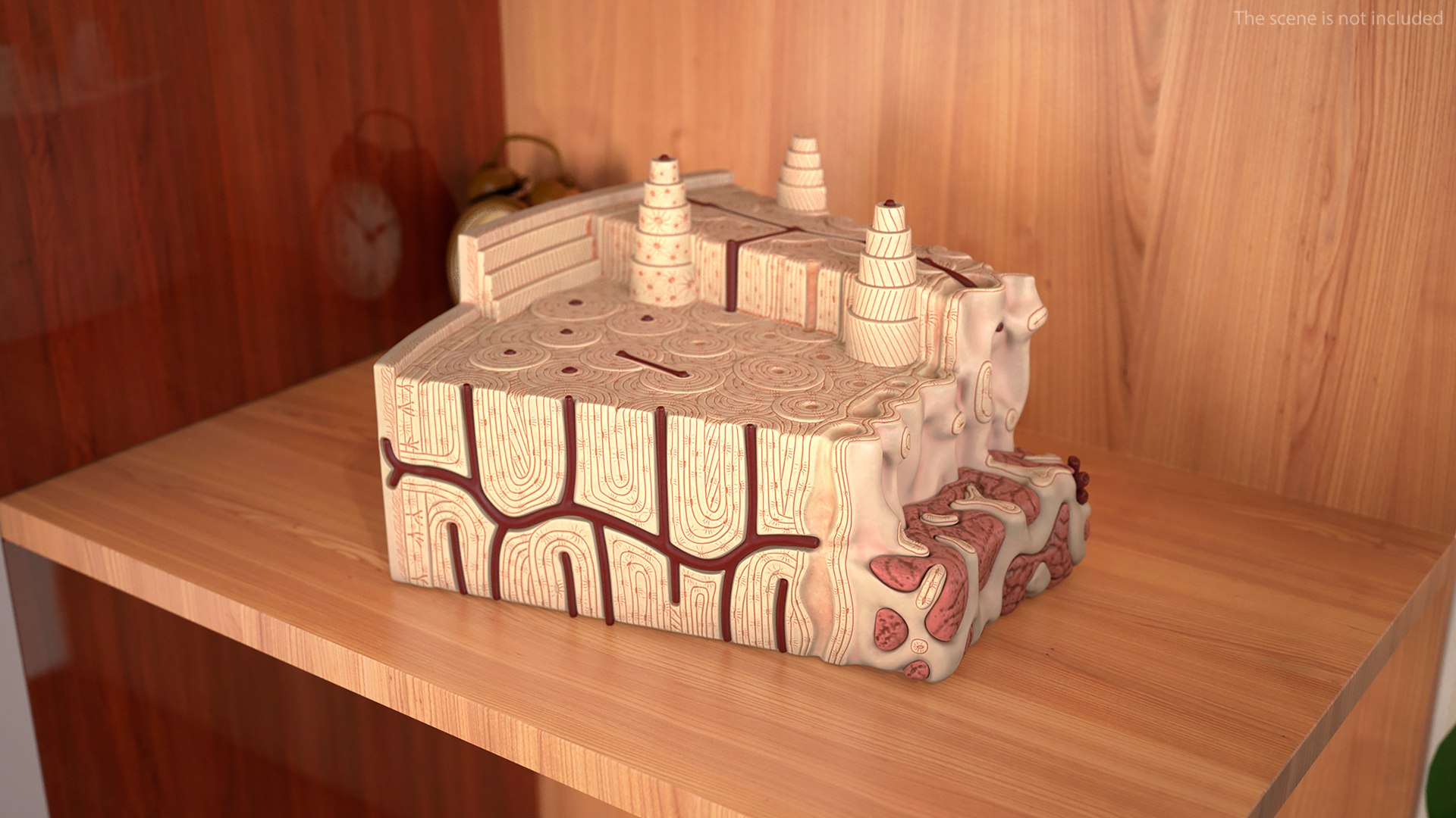 Bone Structure Anatomy Model - TurboSquid 2367864