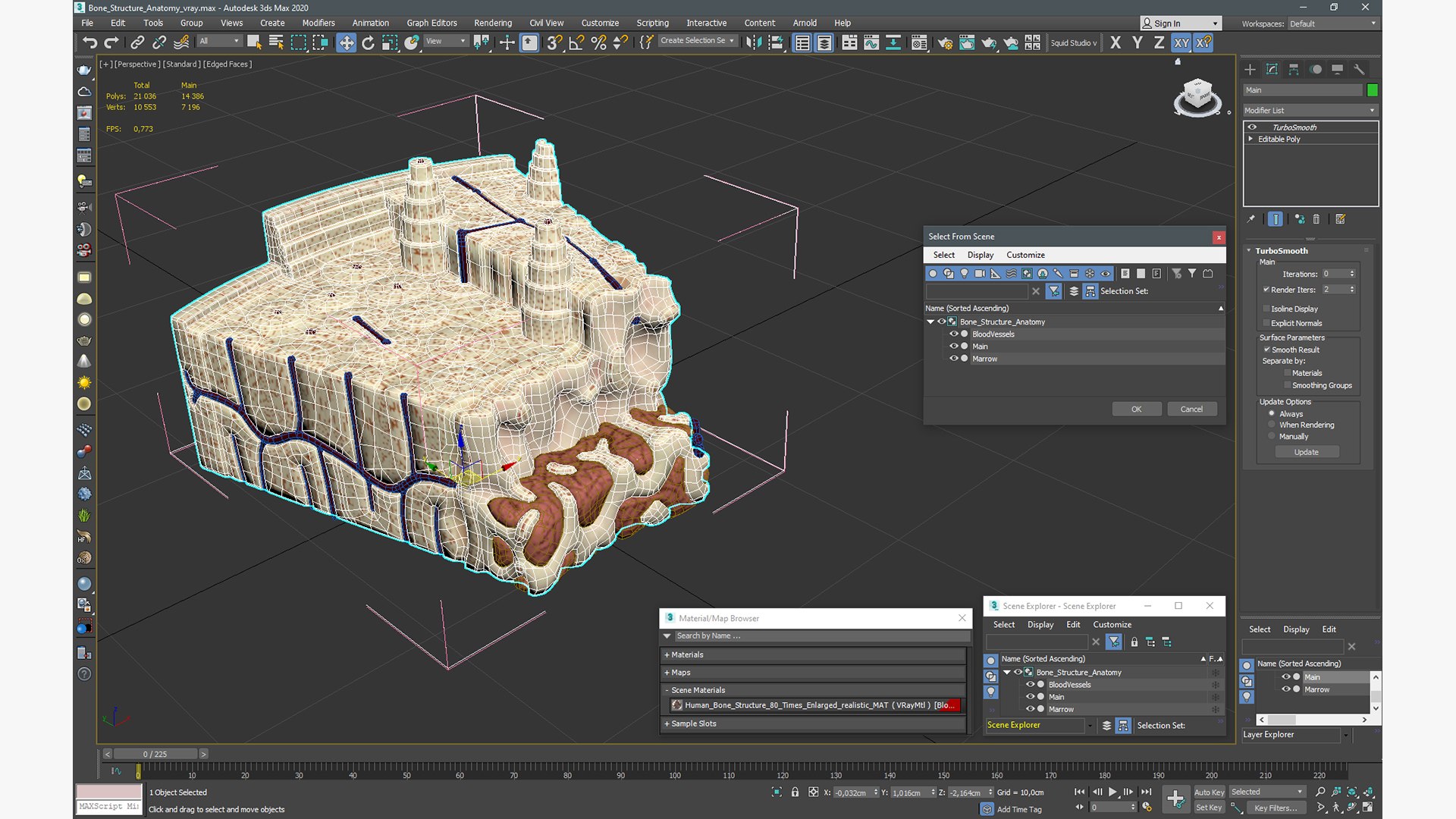 Bone Structure Anatomy Model - TurboSquid 2367864