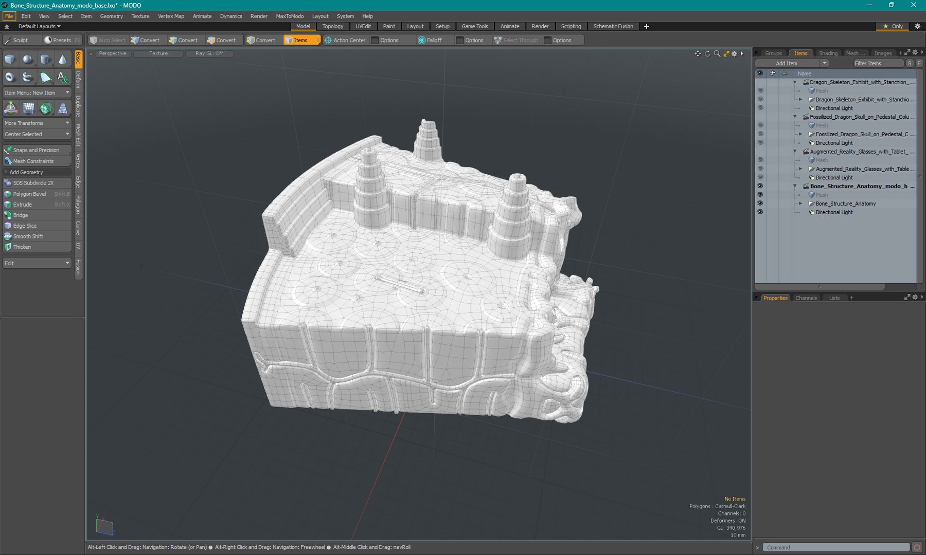 Bone Structure Anatomy Model - TurboSquid 2367864
