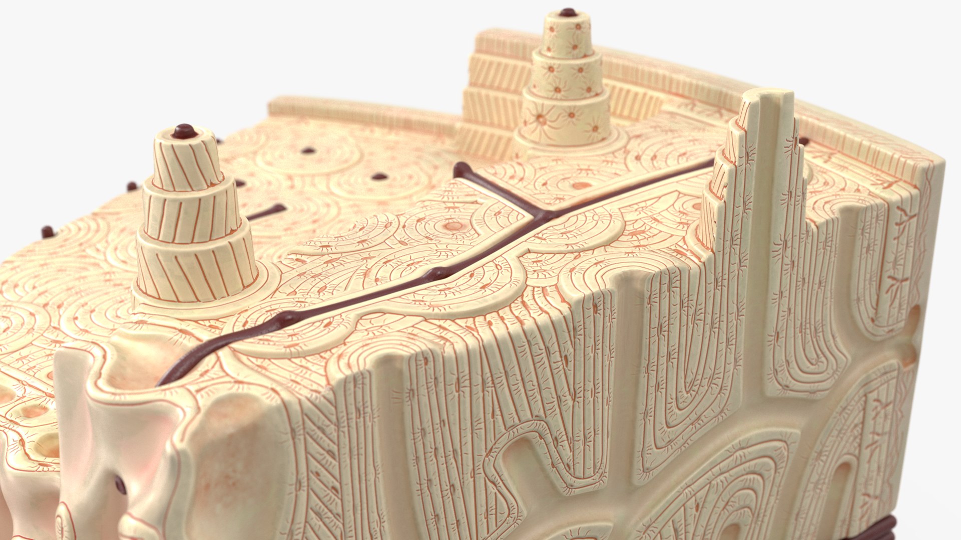 Bone Structure Anatomy Model - TurboSquid 2367864