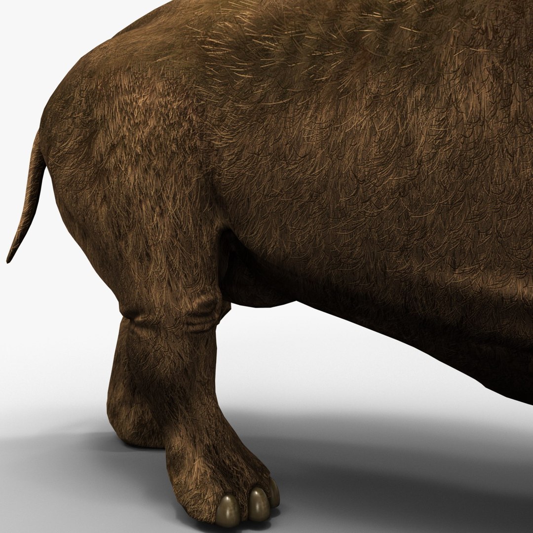 Elasmotherium 2 Pose 1 3d Model