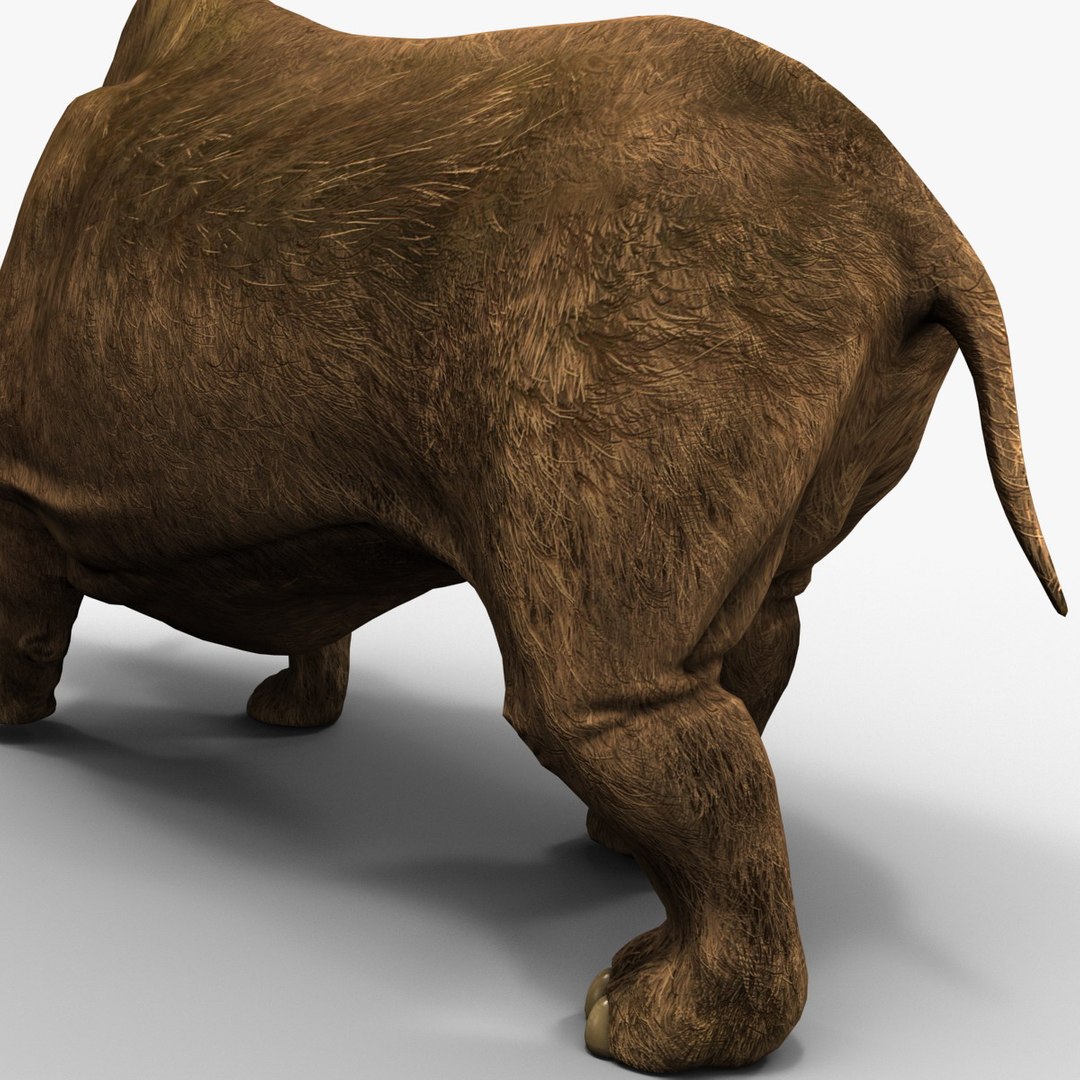 Elasmotherium 2 Pose 1 3d Model