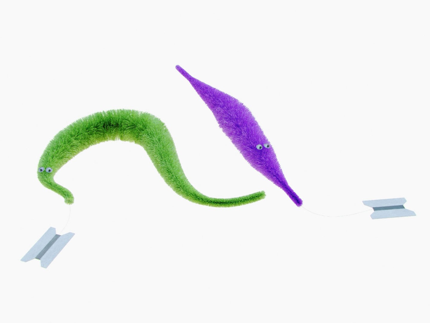 3D модель ВОЛШЕБНЫЙ ЧЕРВЕЙ - TurboSquid 1538685