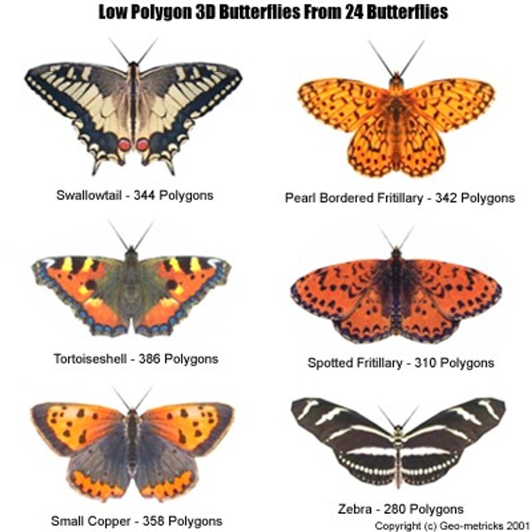 24 Butterflies 3d Model