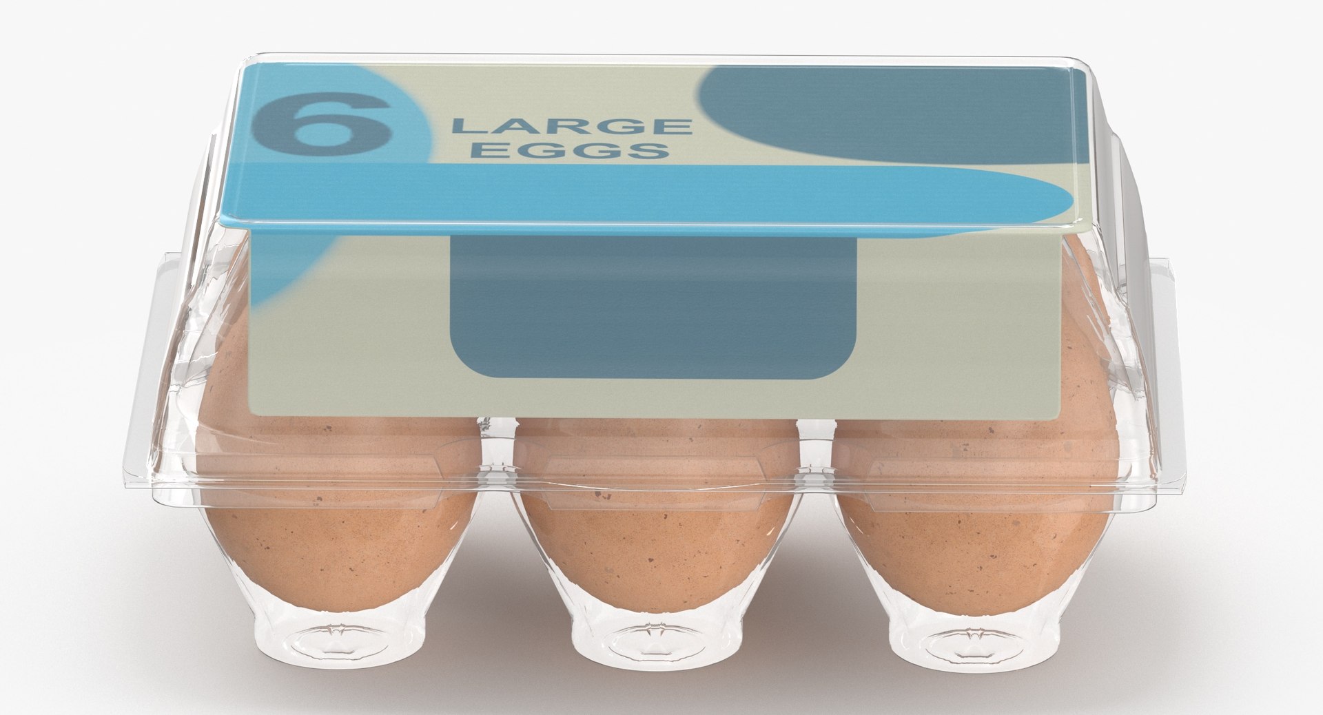 Plastic Carton Of Eggs 6 White And Brown Blank Or Generic Label 3D ...