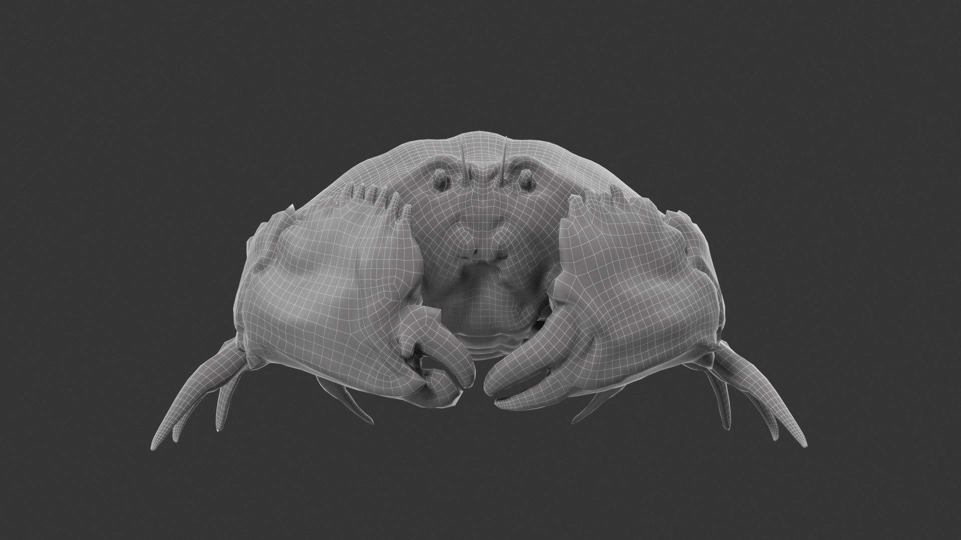 3D Model Common Box Crab - TurboSquid 1742081