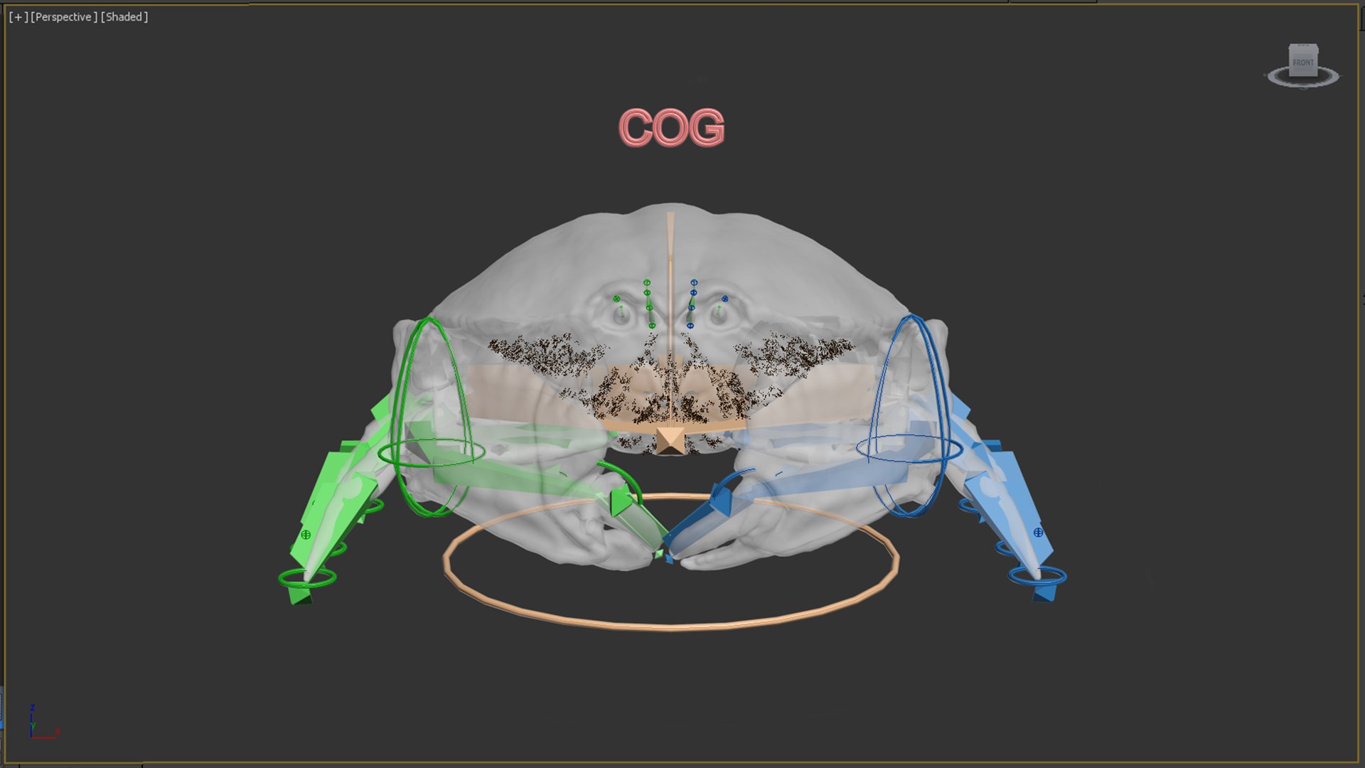 3D Model Common Box Crab - TurboSquid 1742081