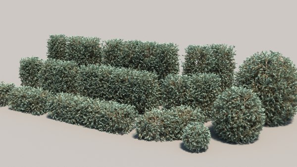 snow snowy bushwall max