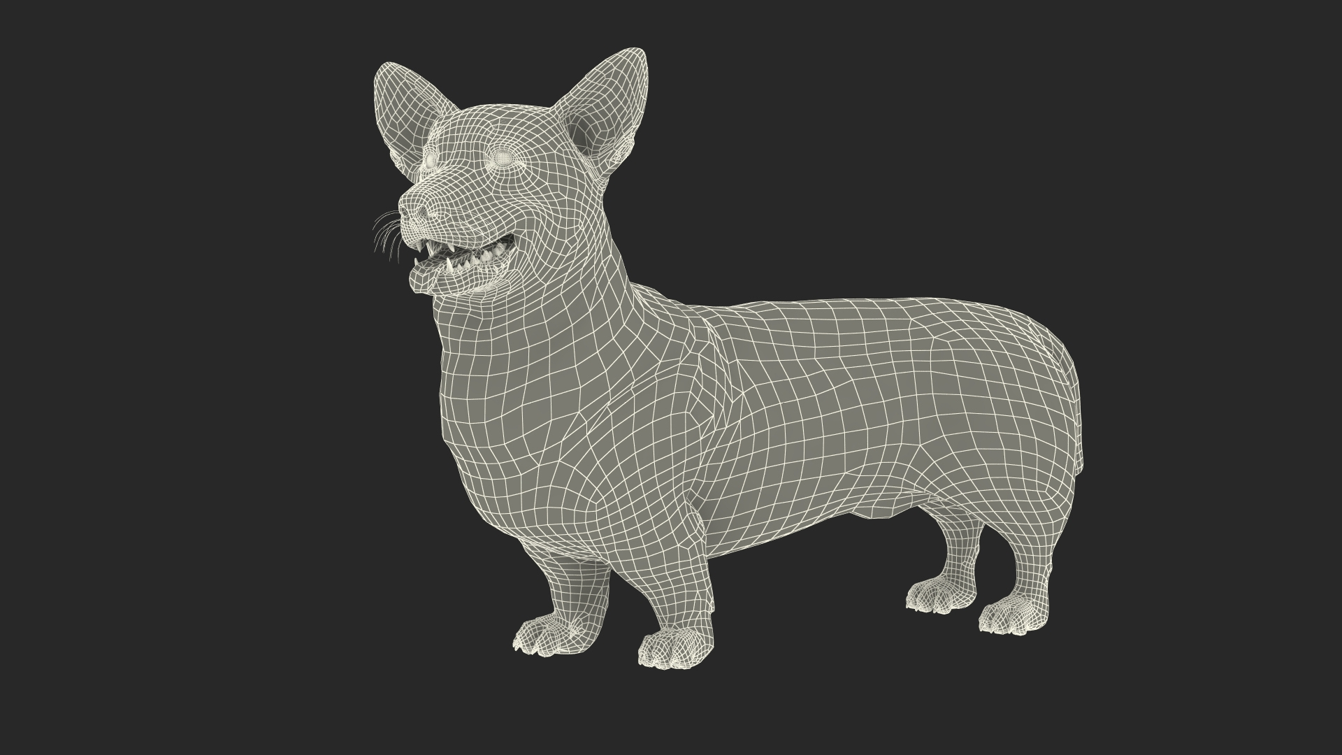 Pembroke Welsh Corgi Dog Standing Pose Fur 3D Model - TurboSquid 2410995