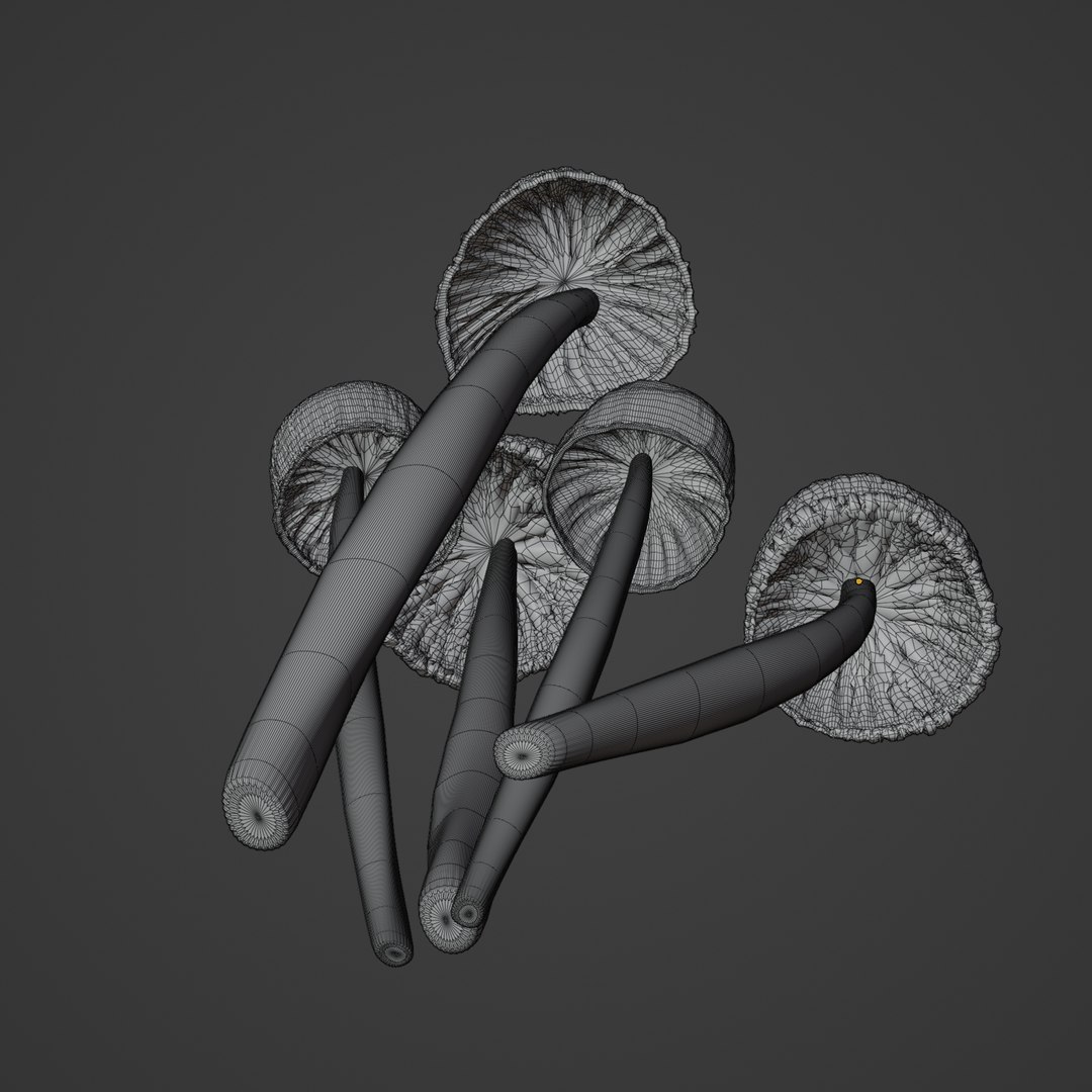 3D Magic Mushroom Model - TurboSquid 1895919