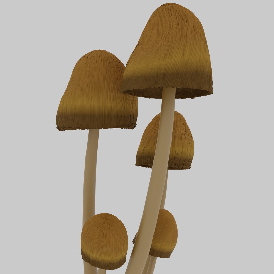 3D Magic Mushroom Model - TurboSquid 1895919