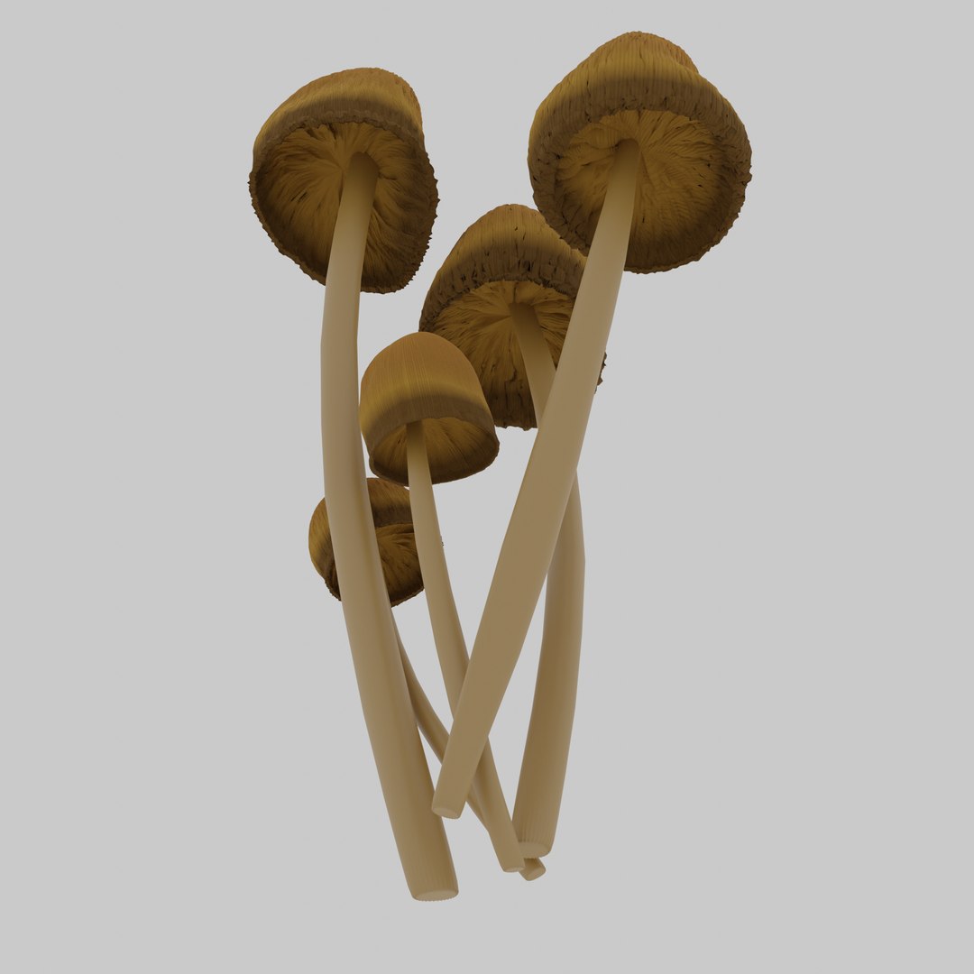 3D Magic Mushroom Model - TurboSquid 1895919